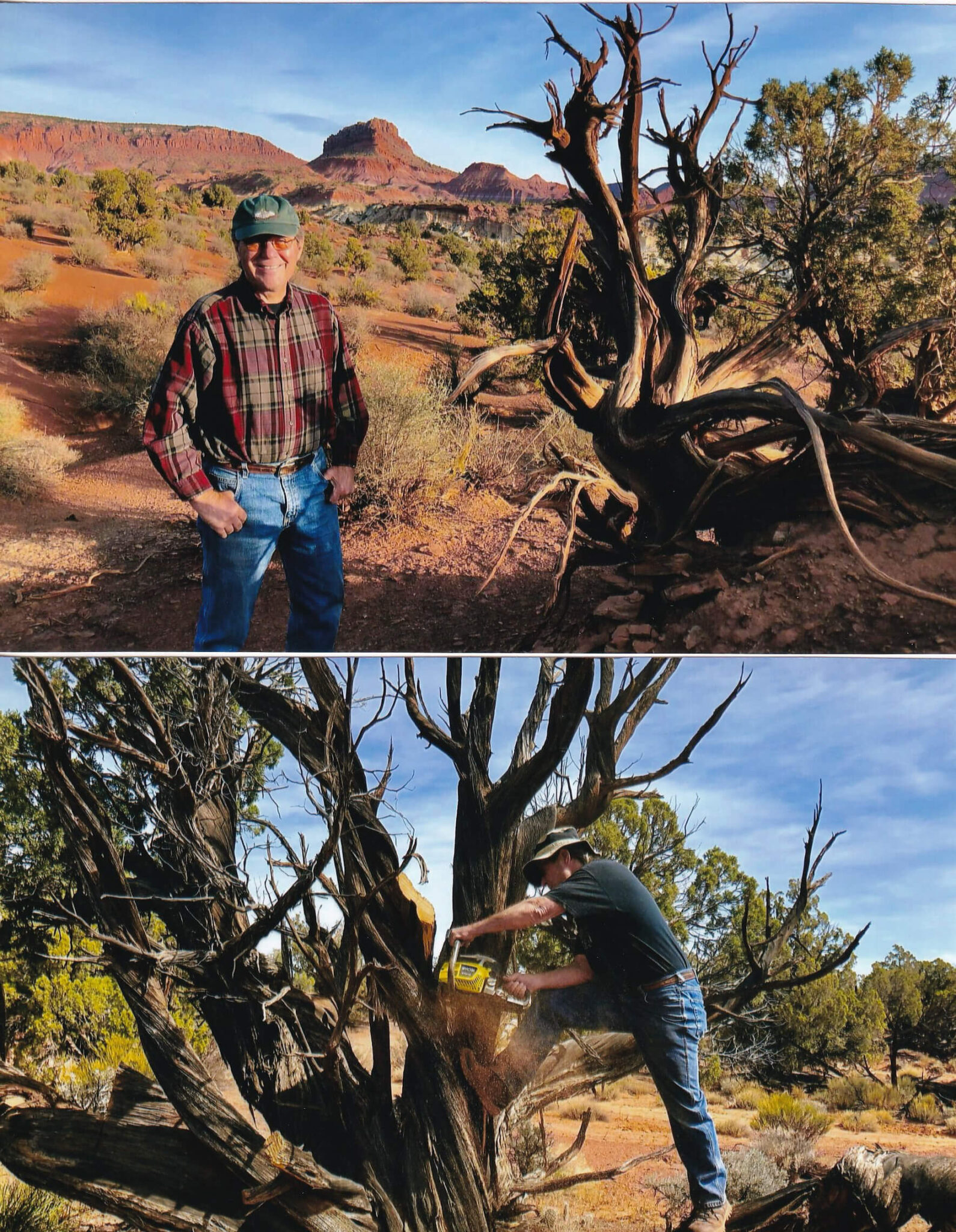 A Life Reclaimed After a Parkinson's Disease Diagnosis - Barrow ...